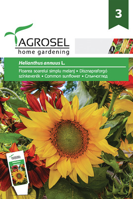 PG3 FLOAREA SOARELUI | Selgros Romania