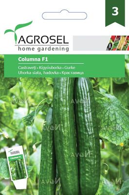 PG3 CASTRAVETI COLUMNA F1 | Selgros Romania