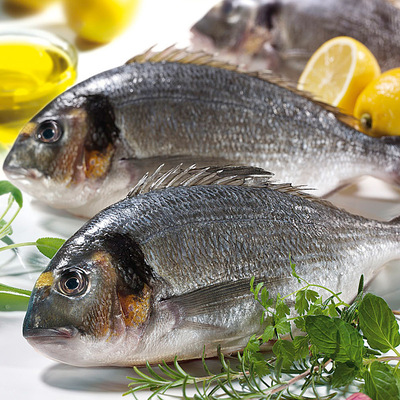 Dorade Royal ausgenommen mit Kopf frisch 400-600g
